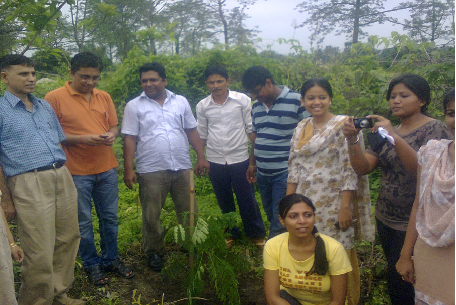 Special Plantation Drives Horticulture Section